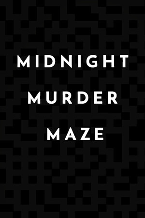 Midnight Murder Maze | PlayinGG