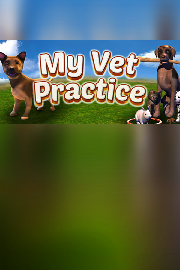 My Vet Practice | PlayinGG